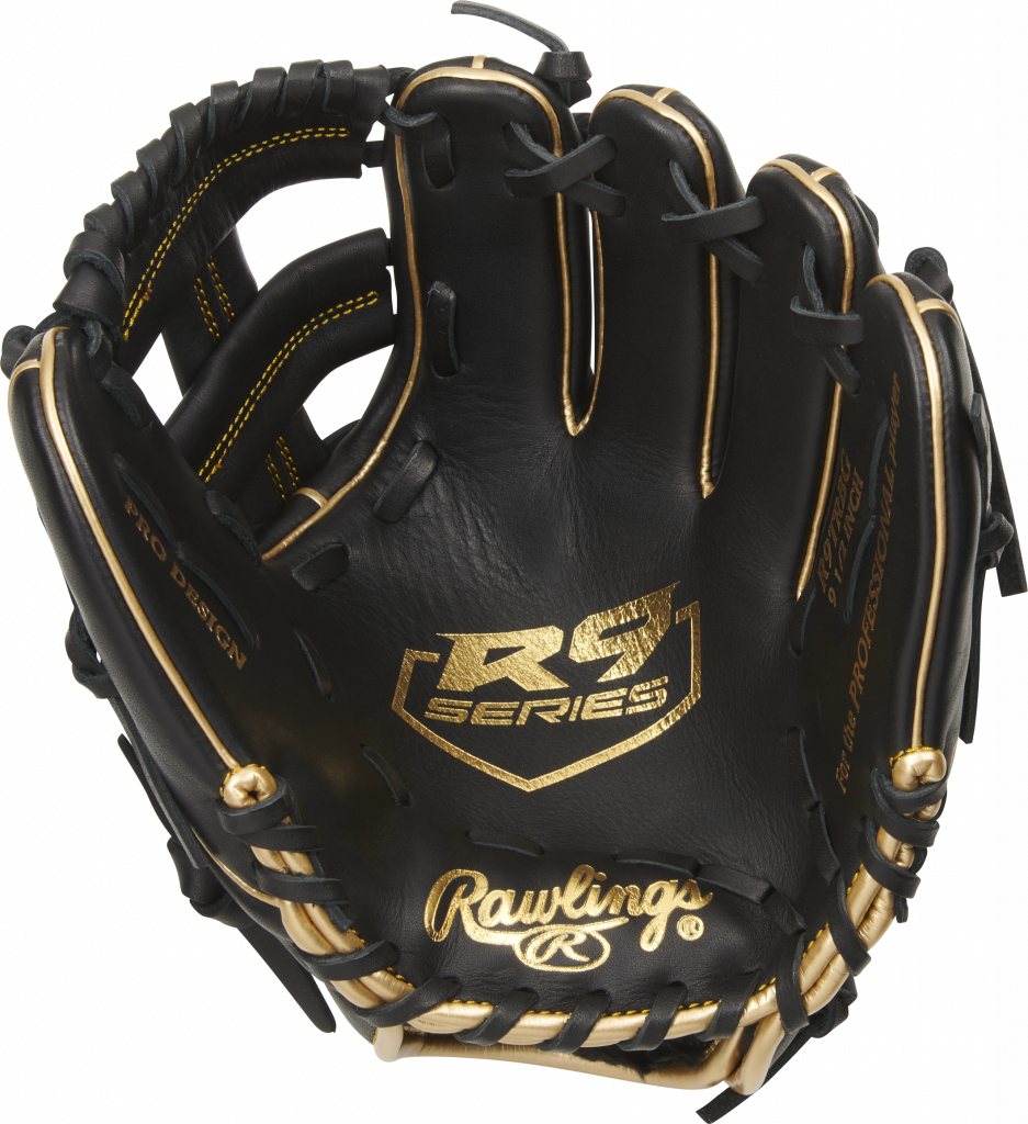 Rawlings R9TRBG - Bat Rat